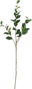Umělý eukalyptus (výška 110 cm) Eucalyptus – Bloomingville