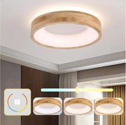 Brilagi-LED Strop. svítidlo FALCON WOOD LED/30W/230V 3000/4000/6000K 45 cm dřevo