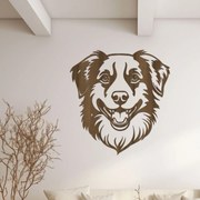 dřevo života Dřevěný obraz Australského ovčáka Rozměry (cm): 38x40, Zvolte barvu dekoru: Ořech