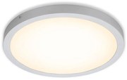 Briloner 7143-014 - LED Stropní svítidlo FIRE LED/24,5W/230V 3000K
