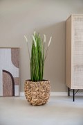 Květináč WILD, vodní hyacint, výška 30 cm, natur