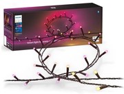 Philips-LED RGBW Stmívatelný venkovní řetěz HUE WACA 500xLED 44,4 m IP54