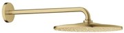 Grohe Rainshower Mono hlavová sprcha včetně sprchového ramena kartáčovaný cool sunrise 26558gn0 G26558GN0