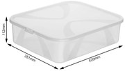 Úložný box, transparentní krabice s víkem, Rotho LONA, 42x35x11 (12l)