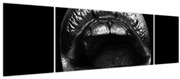 Obraz - Lesklé rty (170x50 cm)