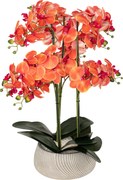 Umělá orchidej SANAE v květináči, 65 cm