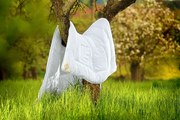 Lavinest Přikrývka Lyocell / Tencel Hřejivost: celoroční, Rozměr: 135x200 cm