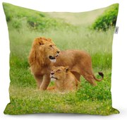 Sablio Polštář Lev a lvice - 40x40 cm