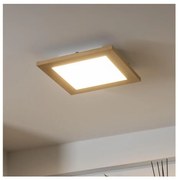 Brilagi - LED Stmívatelné svítidlo SLIMFRAME WOOD LED/25W/230V 34x34 cm + DO