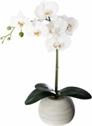 Bílá umělá orchidej v květináči, výška 53 cm