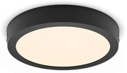 Philips - LED svítidlo, průměr 21 cm, 2700 K, 12 W, černá 929002661131