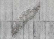 Komar Vliesová fototapeta Concrete Feather 350 x 250 cm