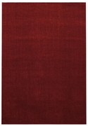 Vínový koberec 60x100 cm Ata – Ayyildiz Carpets