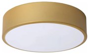 Lucide 79185/20/02 - LED Stmívatelné stropní svítidlo UNAR LED/12W/230V zlatá