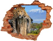 Wallmuralia Díra 3D fototapeta na stěnu Levhard na kmeni 90x70 cm