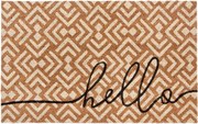 Hanse Home, Rohožka Hello 105681 - na ven i na doma, 45x75, hnědá, chodba / předsíň
