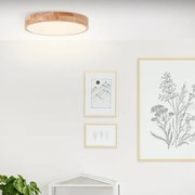 Brilliant G80569A75  Stropní svítidlo LED 22W SLIMLINE DŘEVO průměr 39cm