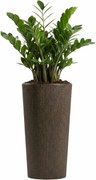PLASTOVÝ KVĚTINÁČ URBANIKA ECO 36,5X19,5 CM TMAVĚHNĚDÁ