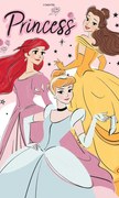 Carbotex Dětský ručník 30x50 Disney Princesses Baby Babies