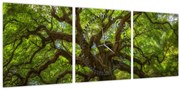 Obraz - Zelený strom (s hodinami) (90x30 cm)