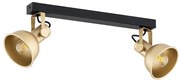 Argon 7144 - Bodové svítidlo LENORA 2xE14/7W/230V zlatá/černá 7144