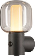 LA 1004679 OVALISK WL Sensor venkovní LED nástěnné přisazené svítidlo antracit CCT switch 3000/4000 K - BIG WHITE (SLV)