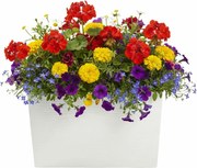PLASTOVÝ KVĚTINÁČ BLOOM RIFLO 36X56X20 CM KRÉMOVÁ