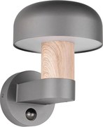Nástěnné venkovní svítidlo (výška 24,5 cm) Fraser – Trio