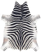 Koberec umělá hovězí kůže Zebra G5128-1, bílá černá kůže