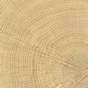 Dlažba Emil W-Circles oak 10x10 cm mat 00ENJD68