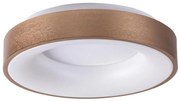 Rabalux 5053 - LED Stropní svítidlo CARMELA LED/50W/230V