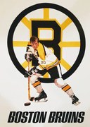 Plechová cedule Boston Bruins Velikost: A5 (20 x 15 cm)