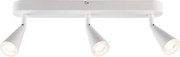 Livarno home Stropní LED svítidlo Freya (oválný/bílý)