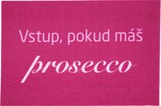 Rohožka Vstup pokiaľ máš Prosecco 40x60 cm, 40x60, ružová, Mercury Flooring