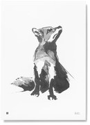 Plakát Red Fox 50x70