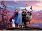 Dětská fototapeta Frozen 2, 156 x 112 cm