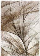 Medipa (Merinos), Kusový koberec Diamond 24153/760, 120x170, hnědá, kancelář