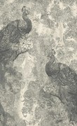 Koberec Agnella Regius Pavio popel