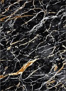 Dywany Łuszczów, Kusový koberec Allure 1963 black/gold, 120x170, černá, kancelář