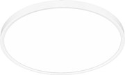 Stropní LED svítidlo Maq, 1x LED 40w, 3000-6500k, w