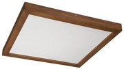 Brilagi-LED Stmívatelné svítidlo WOODY FRAME LED/50W/230V dub 60x60 cm IP44 + DO