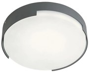 Redo 90005 - LED Stropní svítidlo SKOR 1xLED/16W/230V IP54
