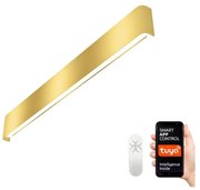 Immax NEO 07137-G - LED SMART Stmívatelné svítidlo LINEA LED/40W/230V + DO 76 cm