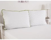 B.E.S. - Petrovice, s.r.o. Polštář Bella Standard Aloe Vera - 70x90
