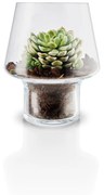 Skleněná váza na sukulenty Succulent Vase 15 cm  Eva Solo