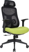Ergonomická kancelářská židle LERO - černá síťovina / zelená látka / nosnost 150 kg