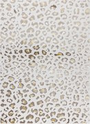 Dywany Łuszczów, Kusový koberec Bliss Z232AZ128 cream/beige, 120x170, béžová, kancelář