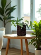 Plantbee Květináč Elgus 14cm čokoládová