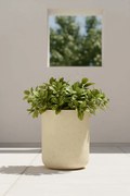 Kulatý květináč CHICO, sklolaminát, průměr 50 x výška 60 cm, krémový