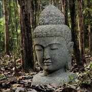 Buddha hlava, tesaný